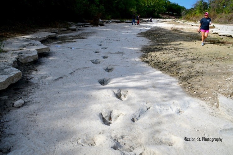 Glen Rose | Tour Texas