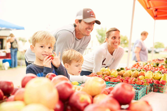 Attractions in The City of Farmers Branch | Tour Texas