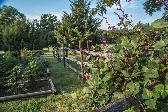 Things To Do in The City of Farmers Branch | Tour Texas