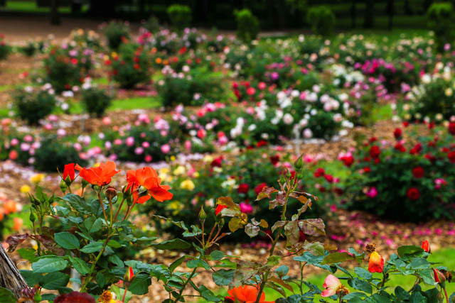 City of Farmers Branch | Tour Texas