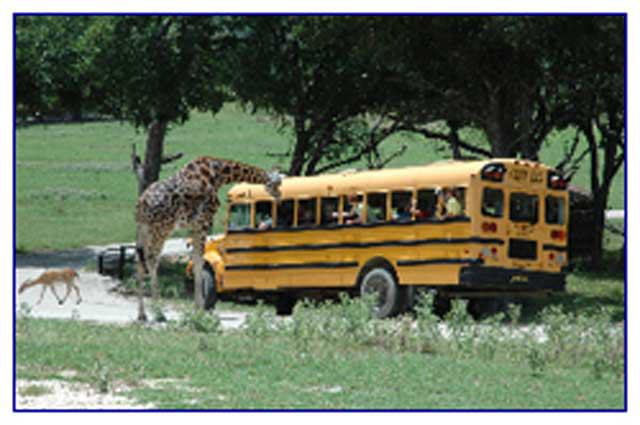Fossil Rim Wildlife Center in Glen Rose | Tour Texas