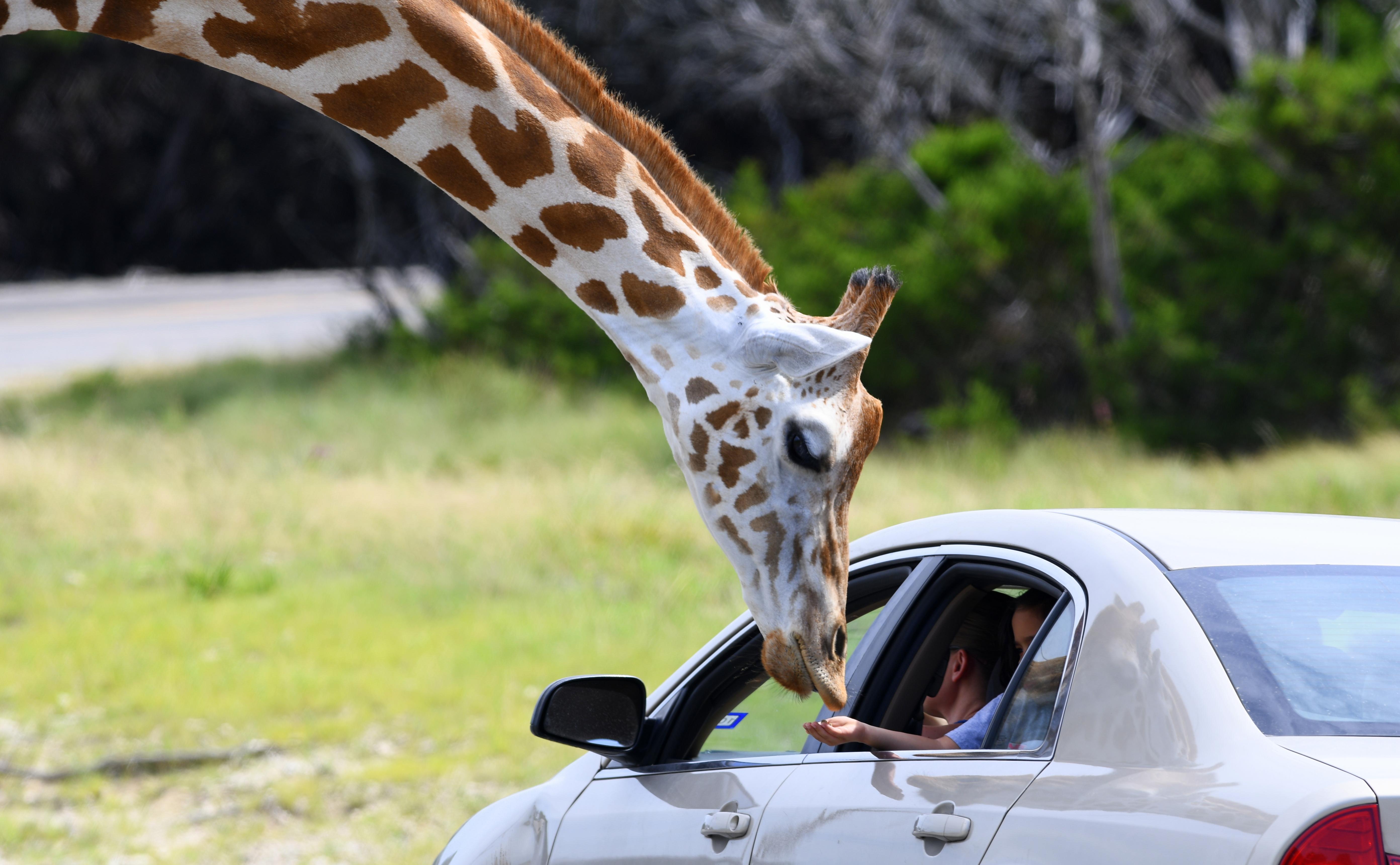 Glen Rose | Tour Texas