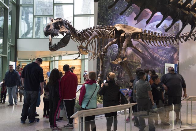 The Witte Museum Hours and Admission Prices | Tour Texas